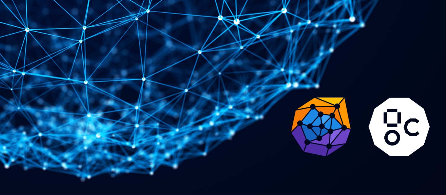 Accelerating PyG on IPUs: Unleash the Power of Graph Neural Networks